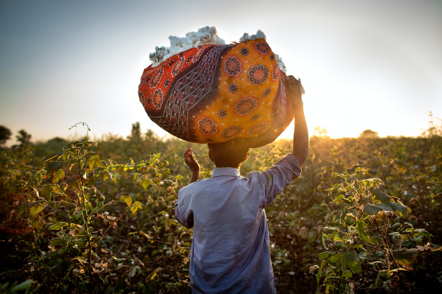 The Inter IKEA Group approach to human rights due diligence